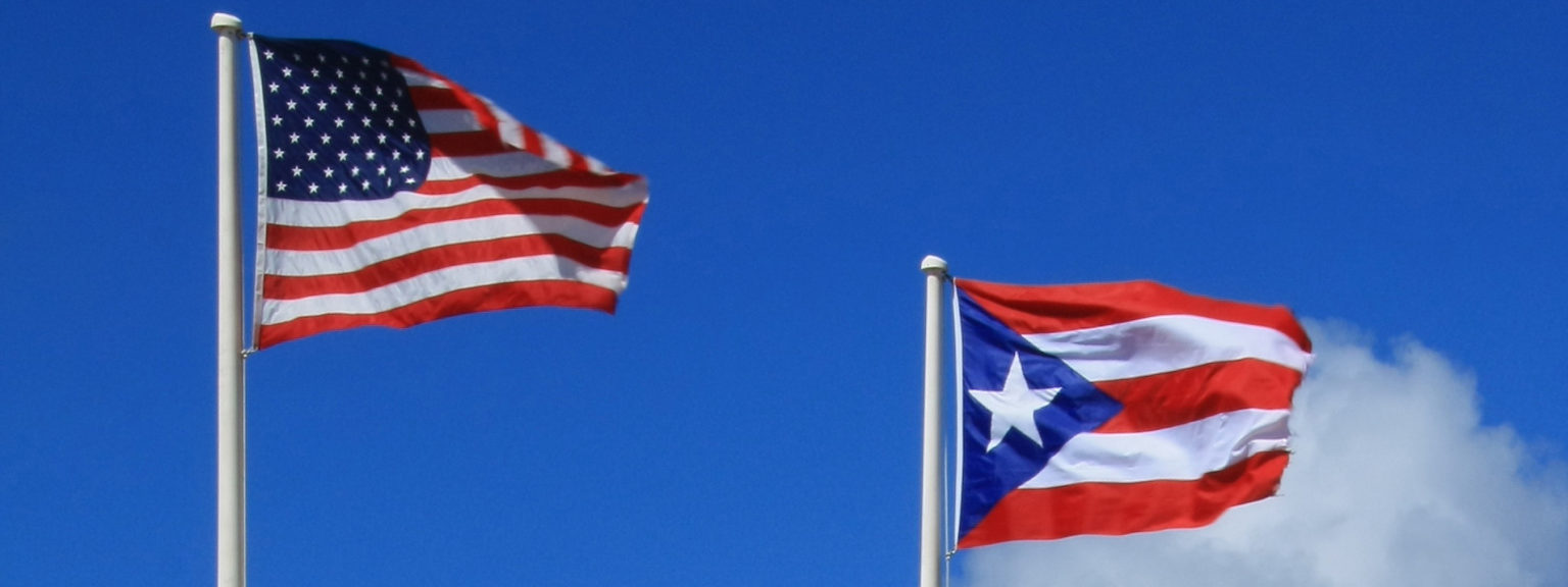 Flags_of_Puerto_Rico_and_USA - NAJIT